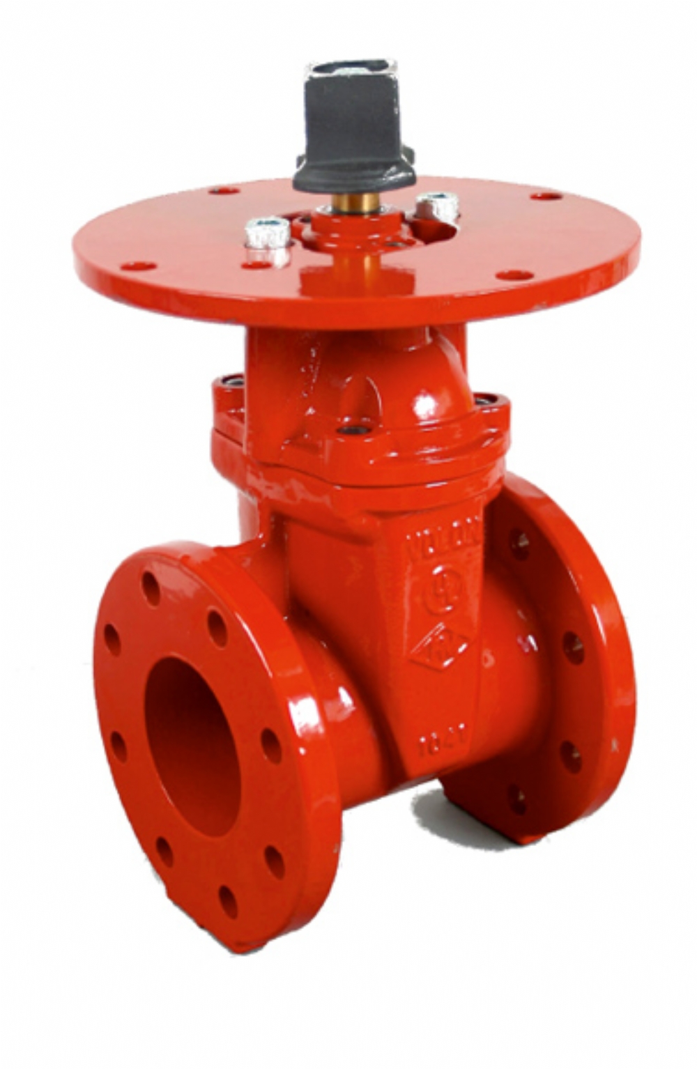 Yenilenmiş NRS Yükselmeyen Milli Vana